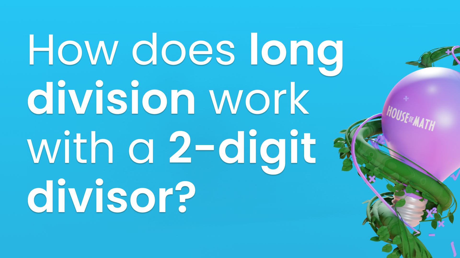 How Does Long Division Work With A 2 Digit Divisor 
