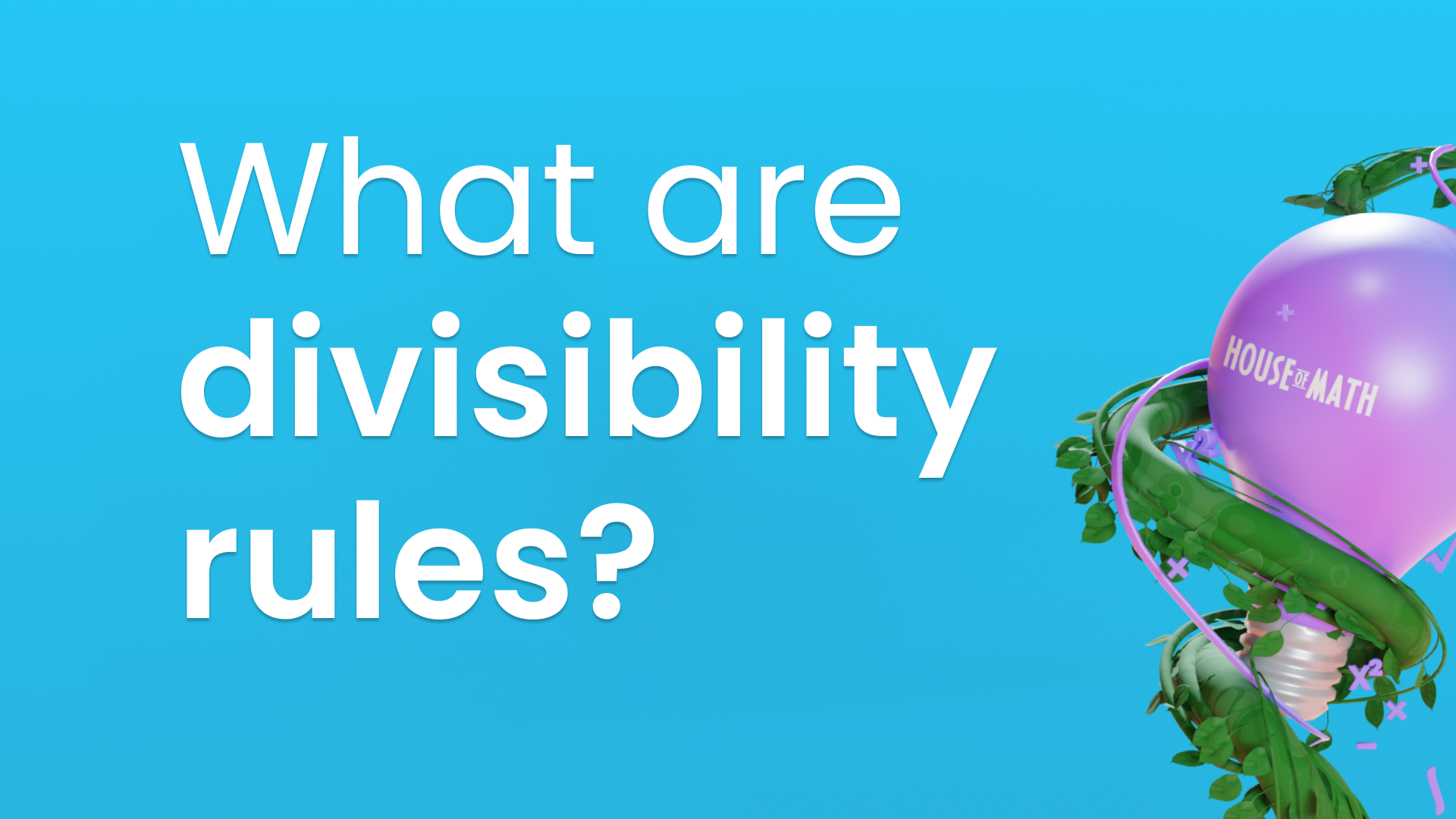 What Are Divisibility Rules 