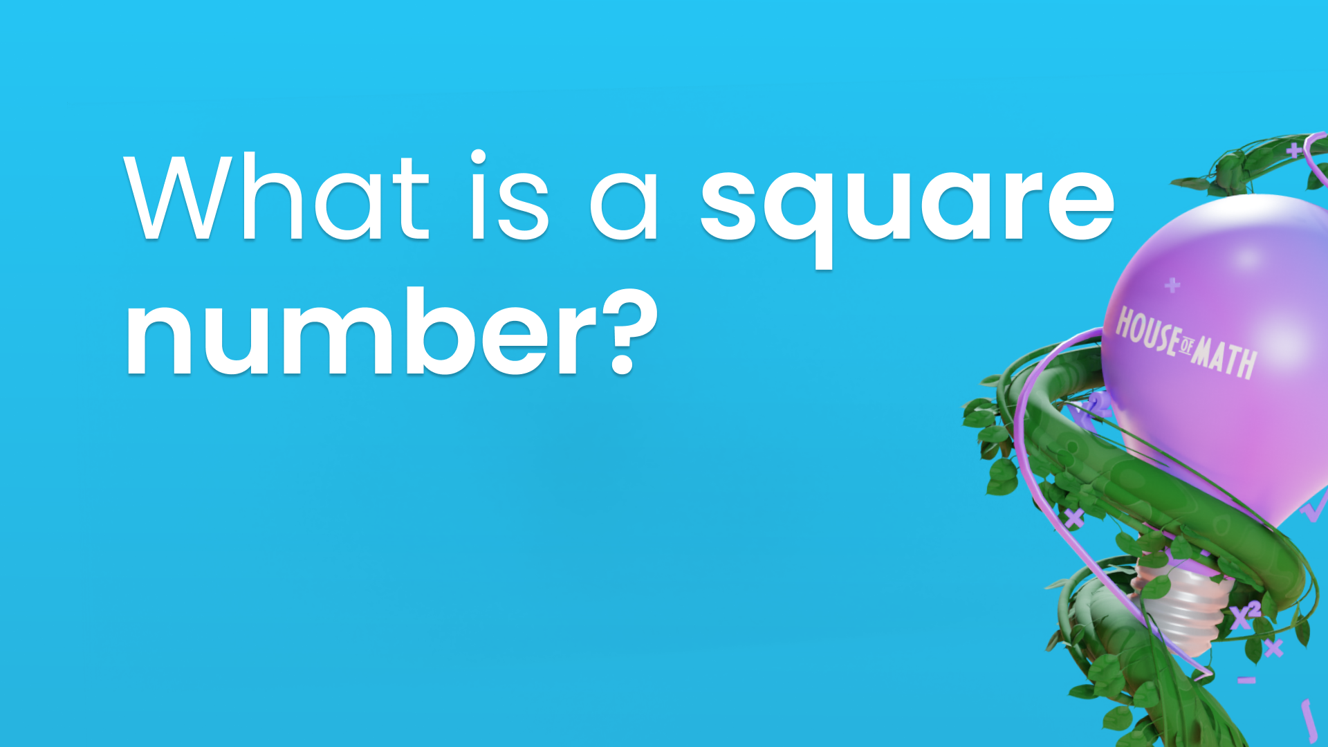 What Is A Square Number 