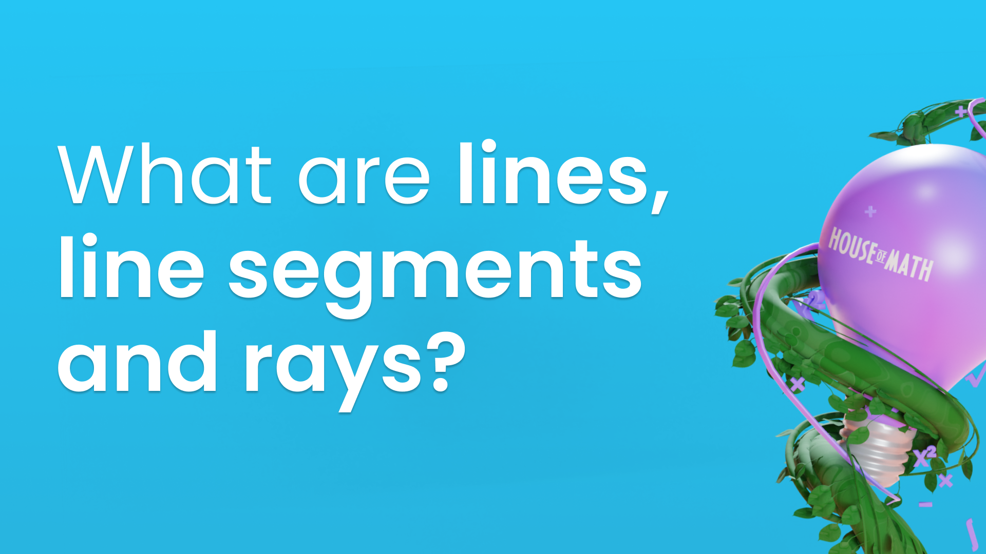 What Are Lines, Line Segments and Rays?