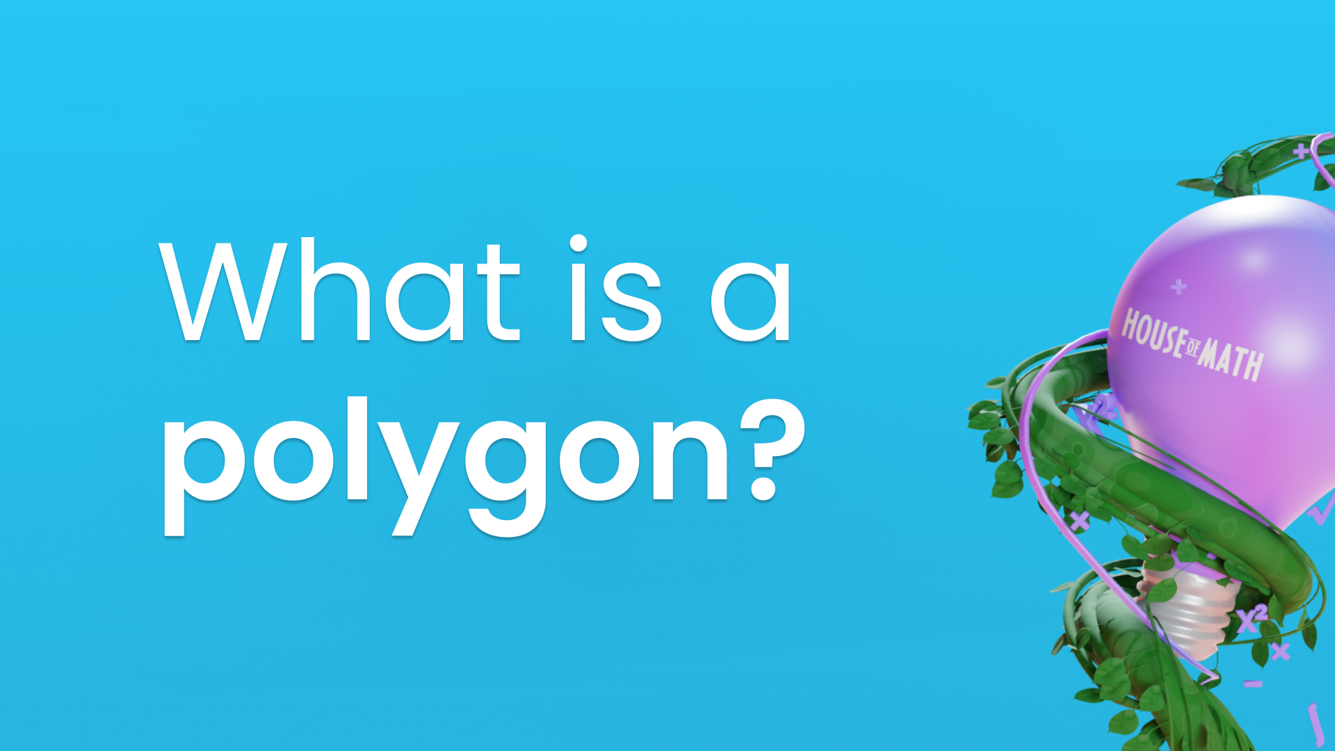 What Is a Polygon?