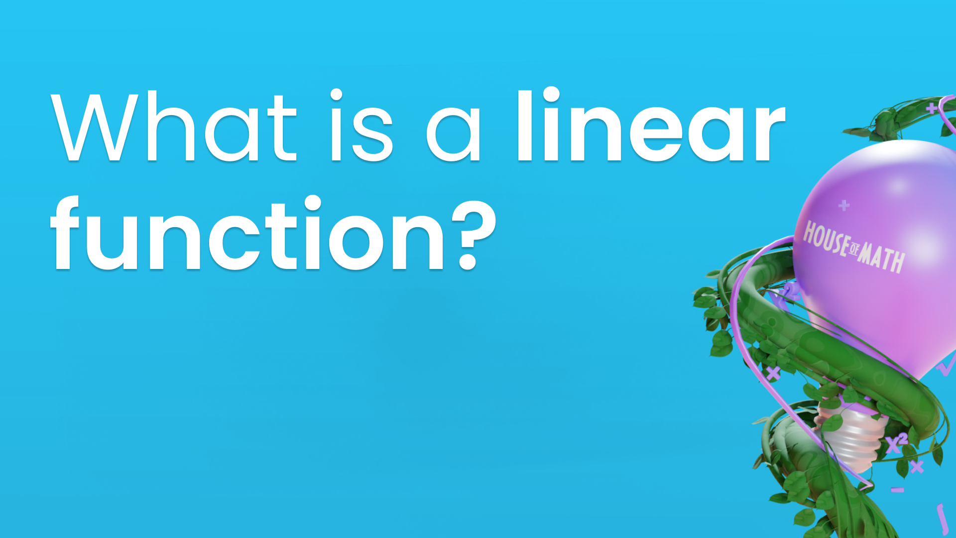 What Is A Linear Function 
